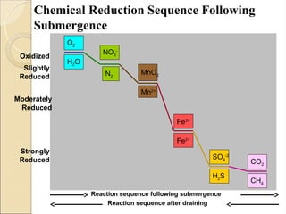 Submerged Soils and it characters and factors effect it | PPT | Science