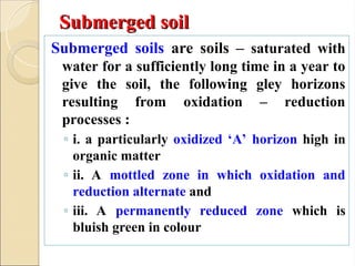 Submerged Soils and it characters and factors effect it | PPT | Science