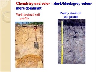 Submerged Soils and it characters and factors effect it | PPT | Science