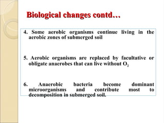 Submerged Soils and it characters and factors effect it | PPT | Science