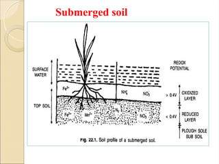 Submerged Soils and it characters and factors effect it | PPT