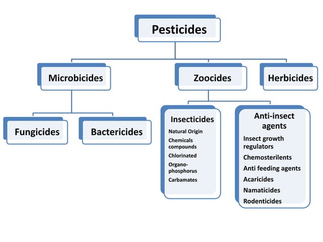 Soils 509 pesticide classification pesticide cycle_ ideal ...