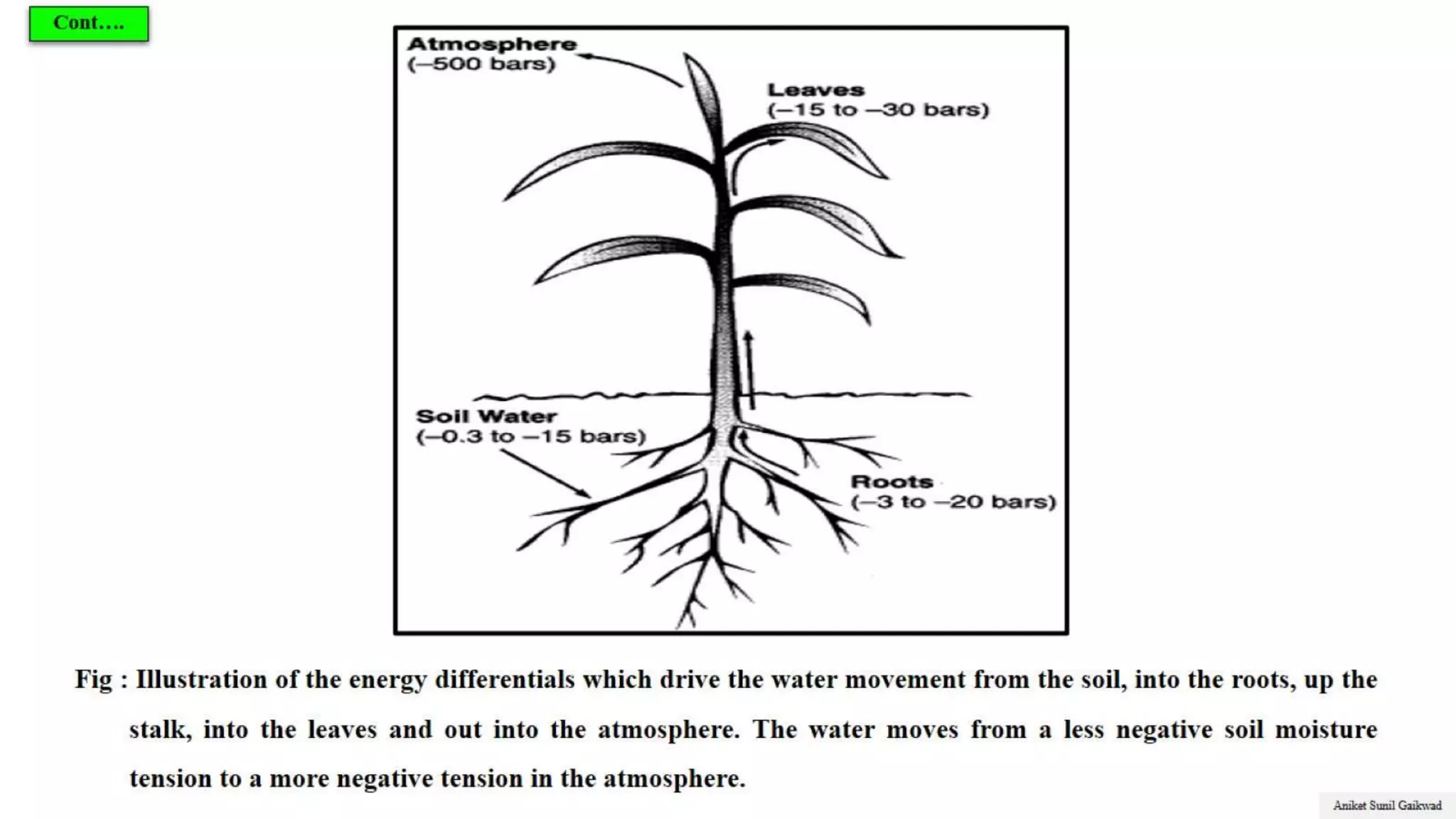 Solar and terrestrial radiation, dissipation and distribution in soil ...