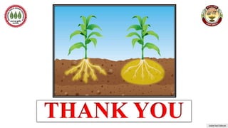 NUTRIENT MOVEMENT IN SOILS AND NUTRIENT ABSORPTION BY PLANTS | PPTX