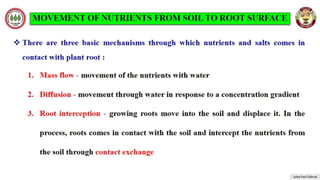NUTRIENT MOVEMENT IN SOILS AND NUTRIENT ABSORPTION BY PLANTS | PPTX