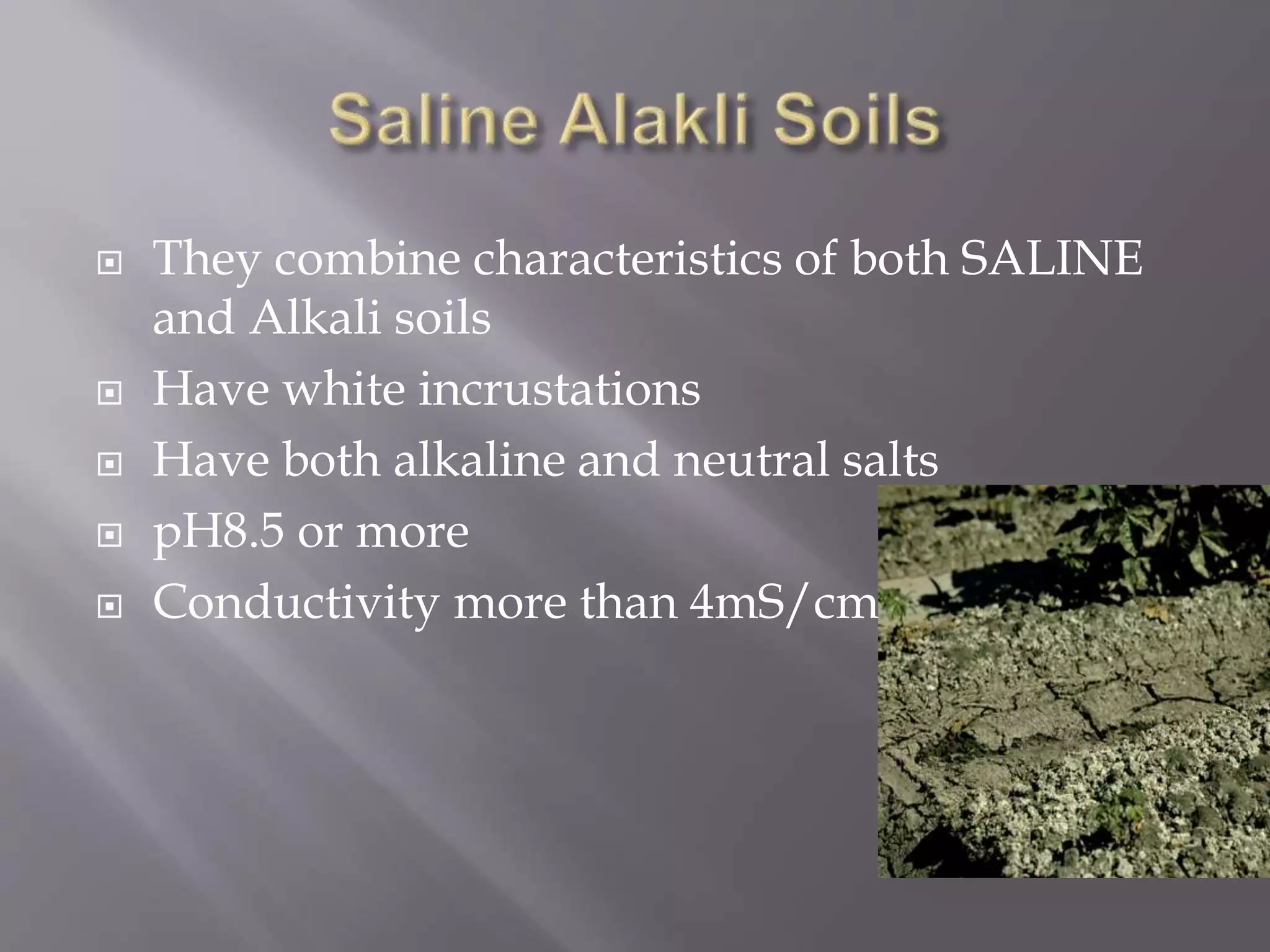 Soil Salinity in India | PPTX