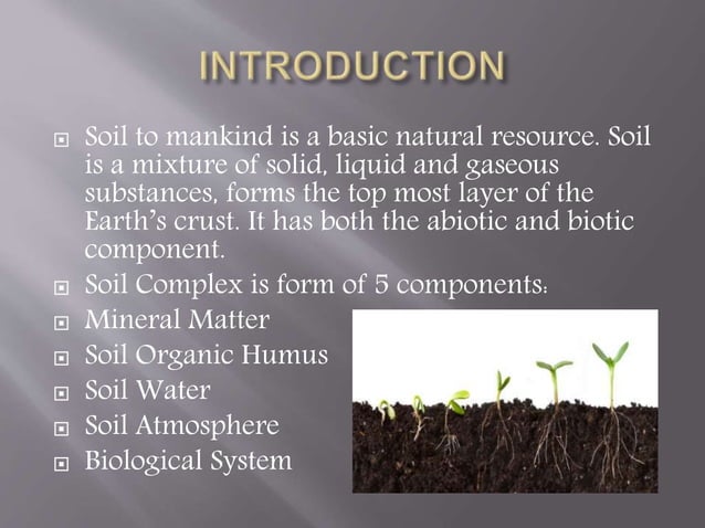 Soil Salinity in India | PPTX | Gardening | Home & Garden