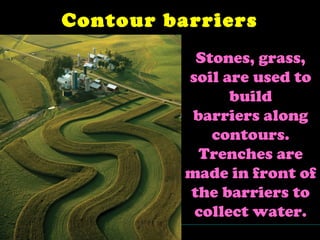 Soils | PPT