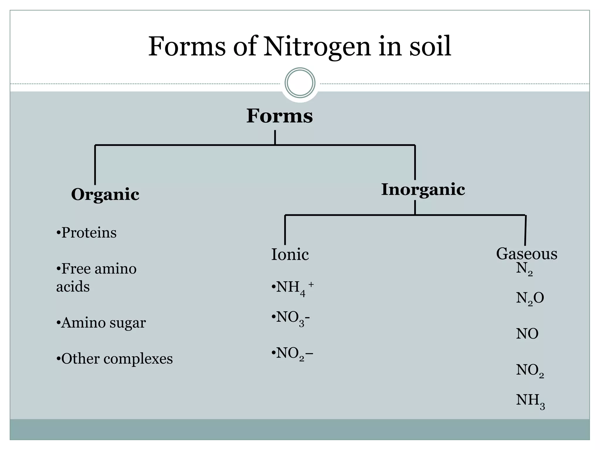 Soil science- soil & fertilizer nitrogen , forms , mineralization ...