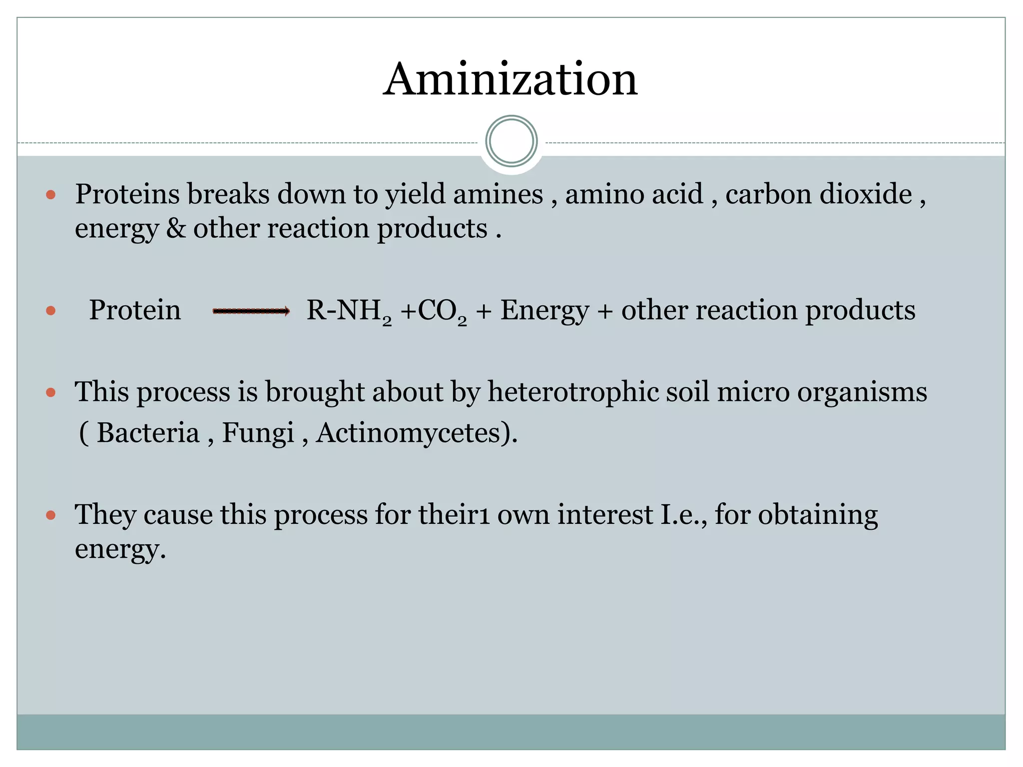 Soil science- soil & fertilizer nitrogen , forms , mineralization ...
