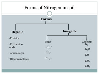 Soil science- soil & fertilizer nitrogen , forms , mineralization ...