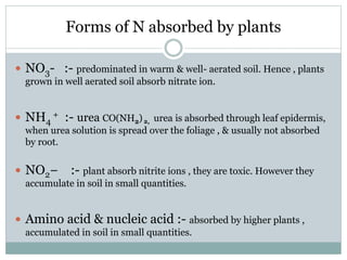 Soil science- soil & fertilizer nitrogen , forms , mineralization ...