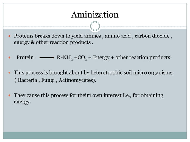 Soil science- soil & fertilizer nitrogen , forms , mineralization ...