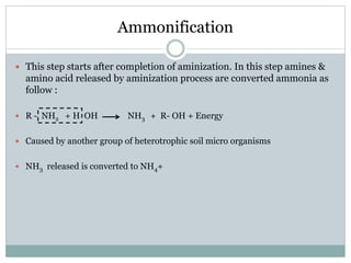 Soil science- soil & fertilizer nitrogen , forms , mineralization ...