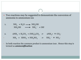 Soil science- soil & fertilizer nitrogen , forms , mineralization ...