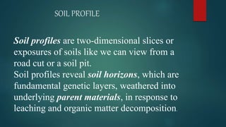 Soil science[1] | PPTX