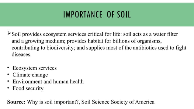 Soil Science Basics Understanding the Essentials1.pptx