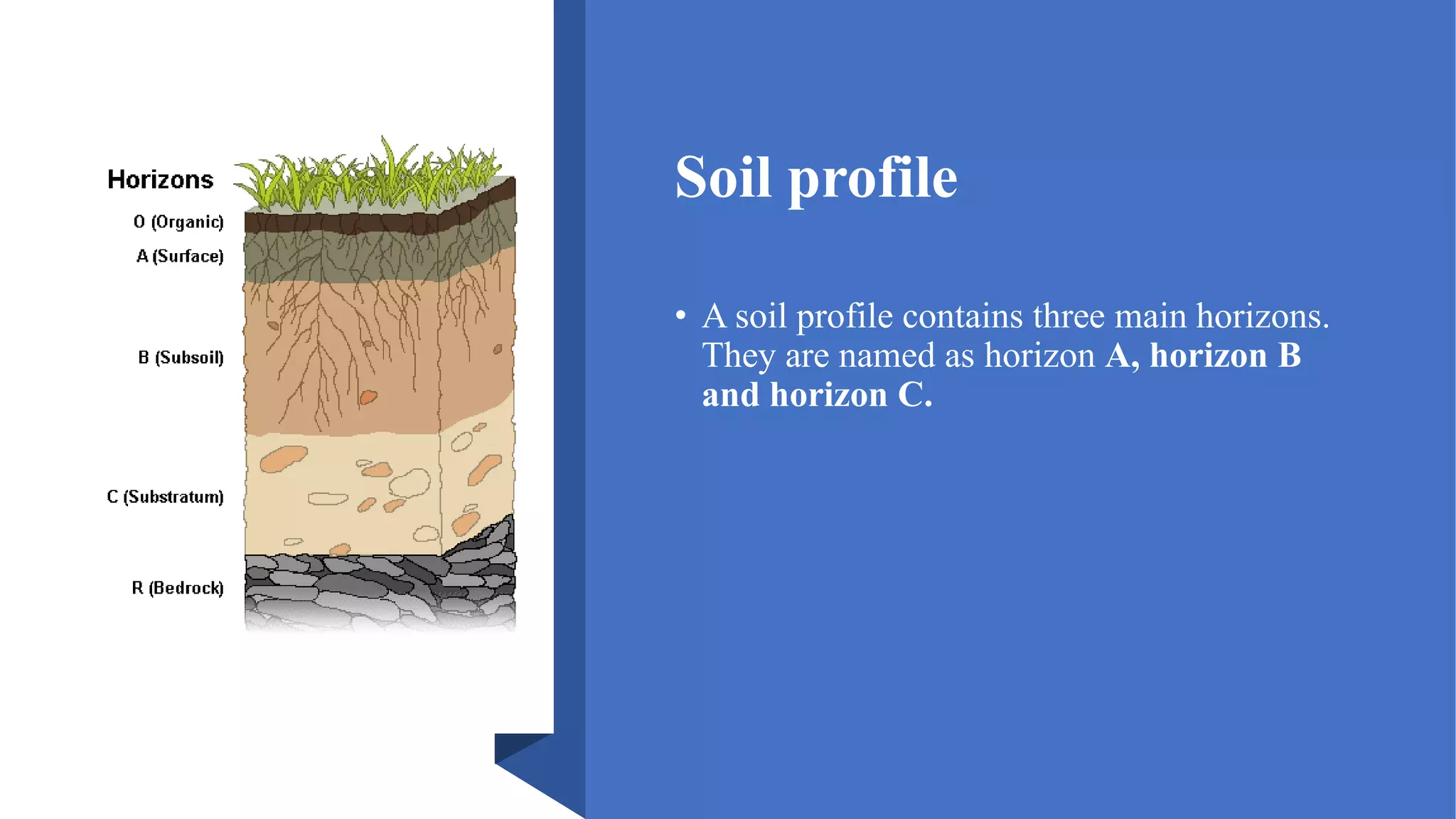 Soil Science FT.pdf