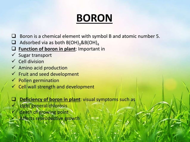 ESSENTIALITY OF BORON IN PLANT GROWTH NUTRIENT MANAGEMENT | PPTX ...