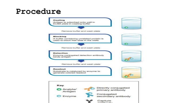 ELISA (Enzyme linked immunosorbent Assay | PPT
