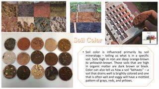 Soil sciences | PPT