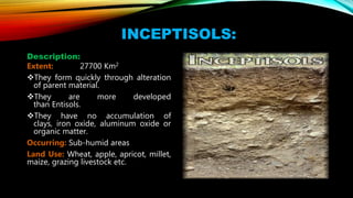 Soil Orders in Pakistan | PPSX