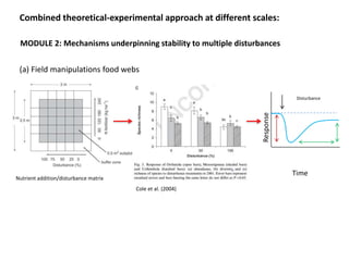 Controls on the Stability of Soils | PPTX