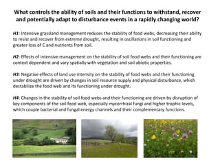 Controls on the Stability of Soils | PPTX