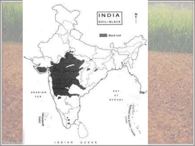 Soils of India/ Karnataka State New syllabus/ Social Science/ Geography ...