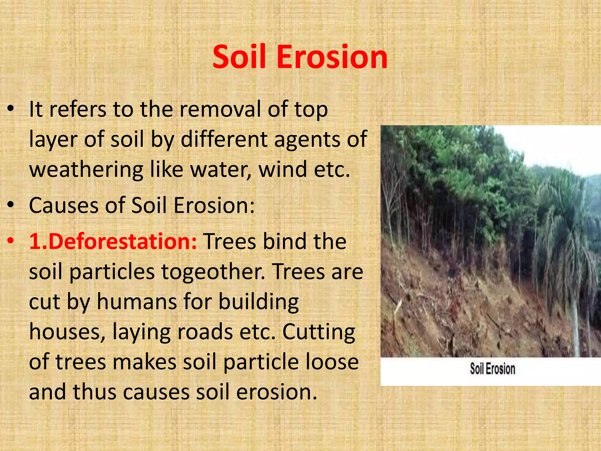 Soilsofindia 180205084843 | PDF