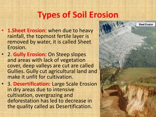 Soilsofindia 180205084843 | PDF