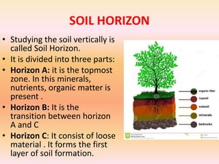 Soilsofindia 180205084843 | PDF