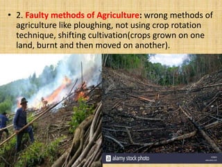 SOILS OF INDIA | PPTX