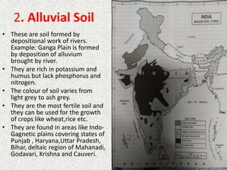 SOILS OF INDIA | PPTX