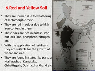Soils of India:Types and distribution.pptx