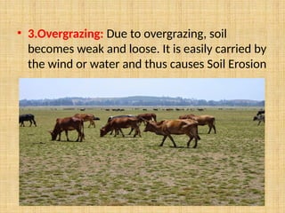 Soils of India:Types and distribution.pptx