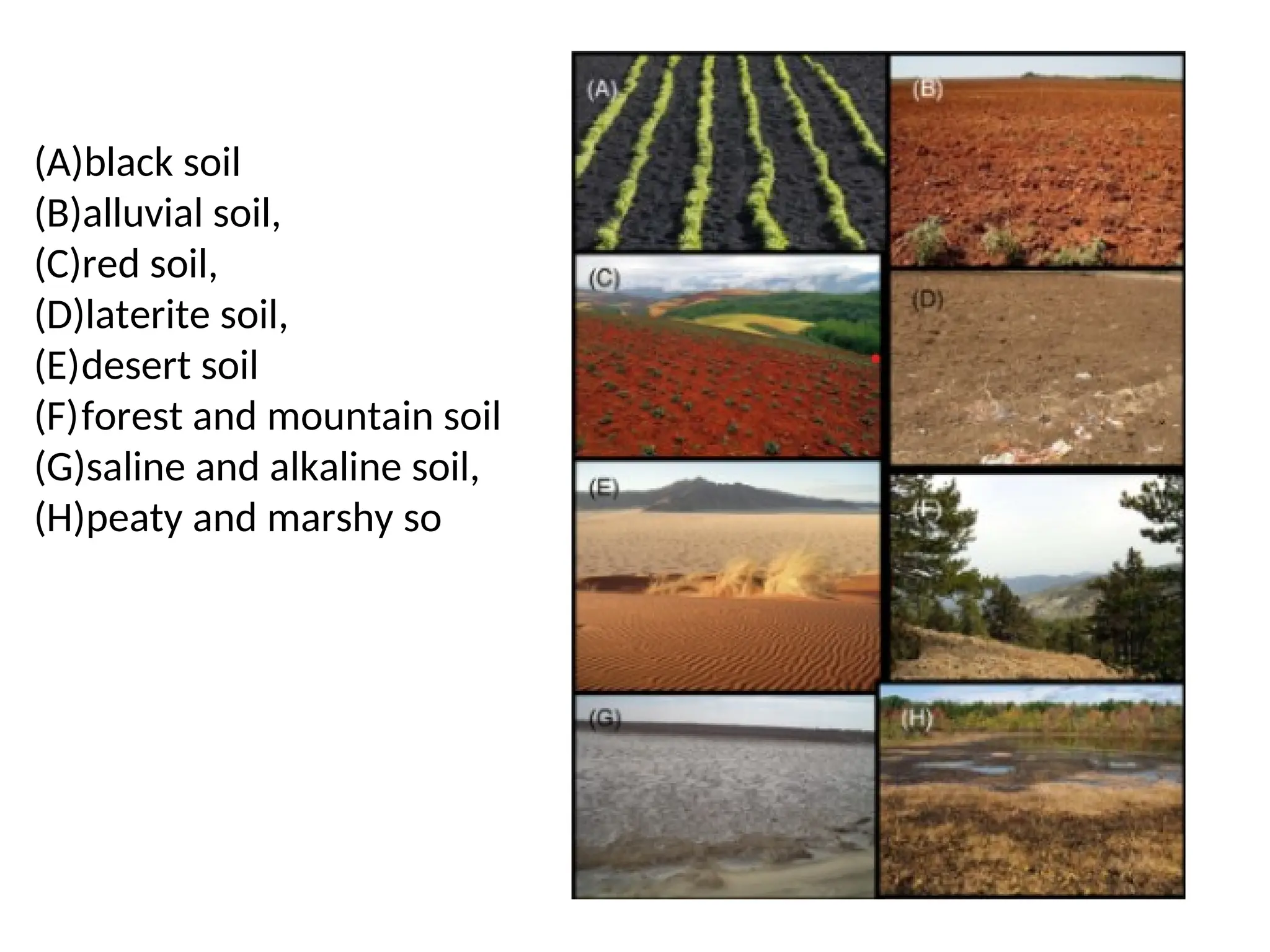 Various types of Soils of India & Karnataka.ppt