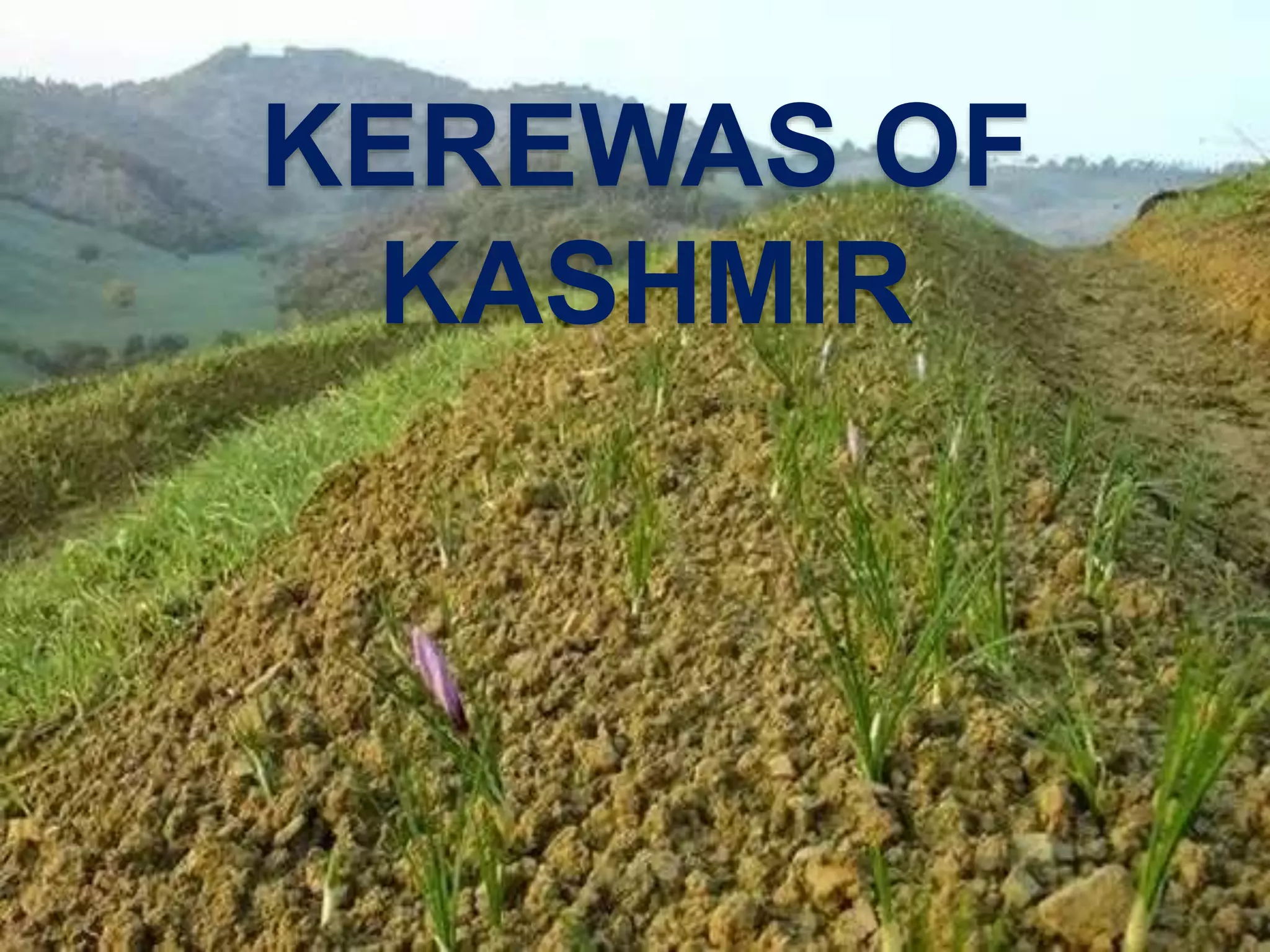 SOILS OF JAMMU AND KASHMIR | PPTX