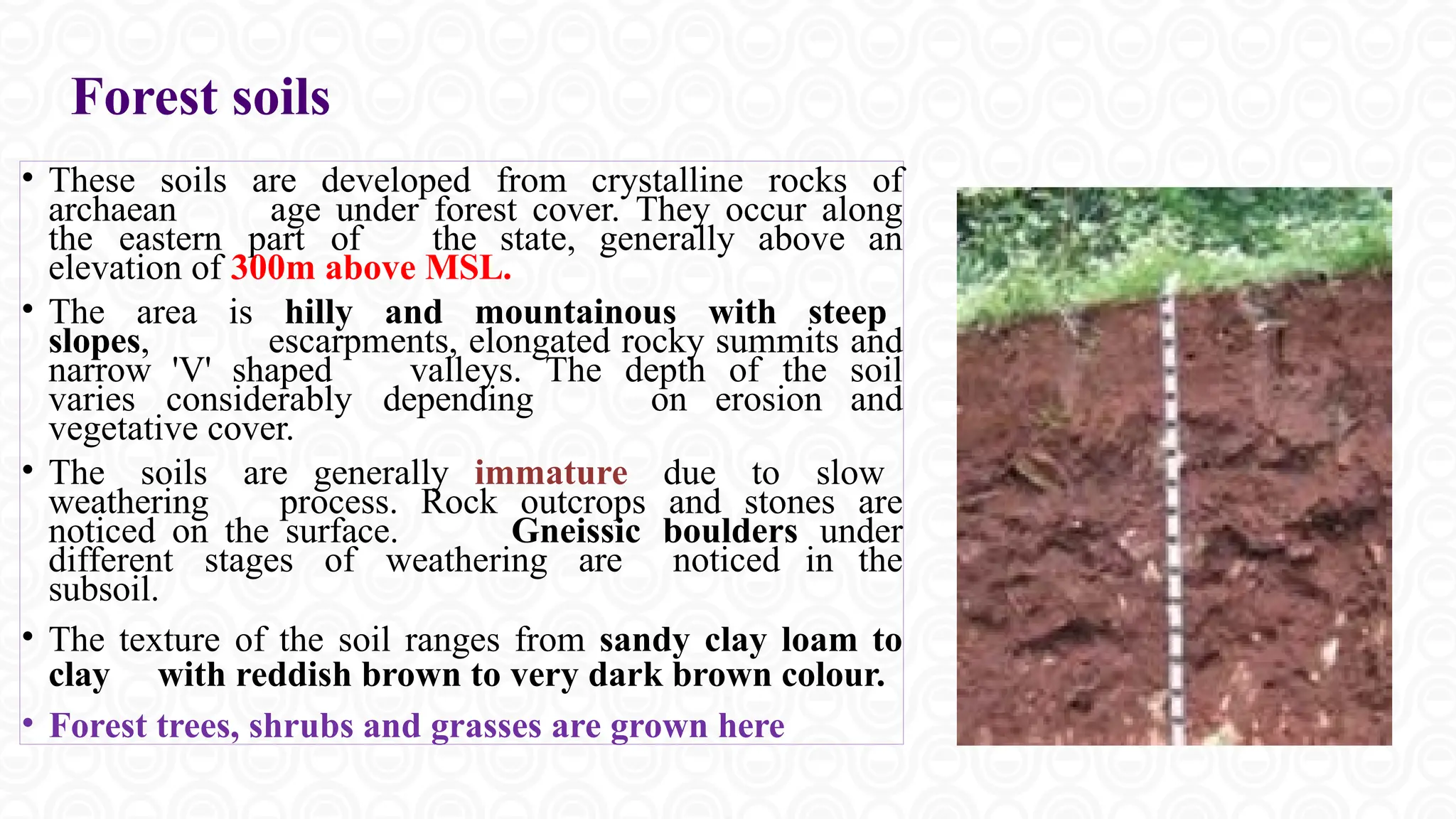 Soils of kerala and Soils of India in detail | PPTX