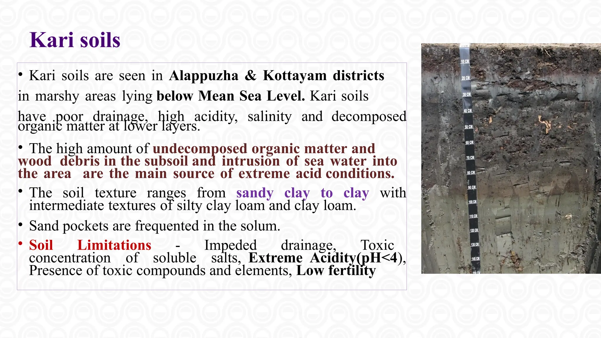 Soils of kerala and Soils of India in detail | PPTX