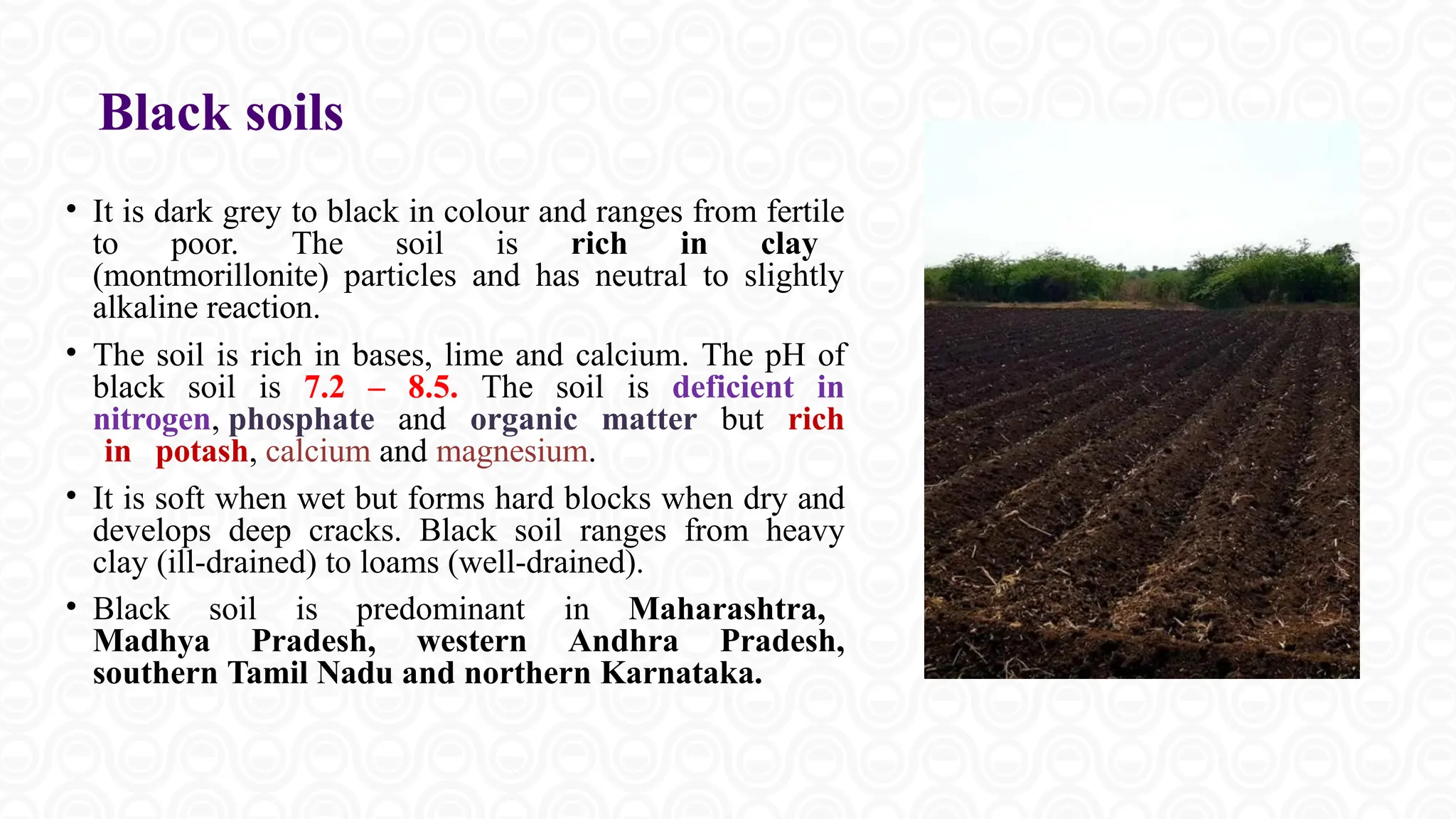 Soils of kerala and Soils of India in detail | PPTX