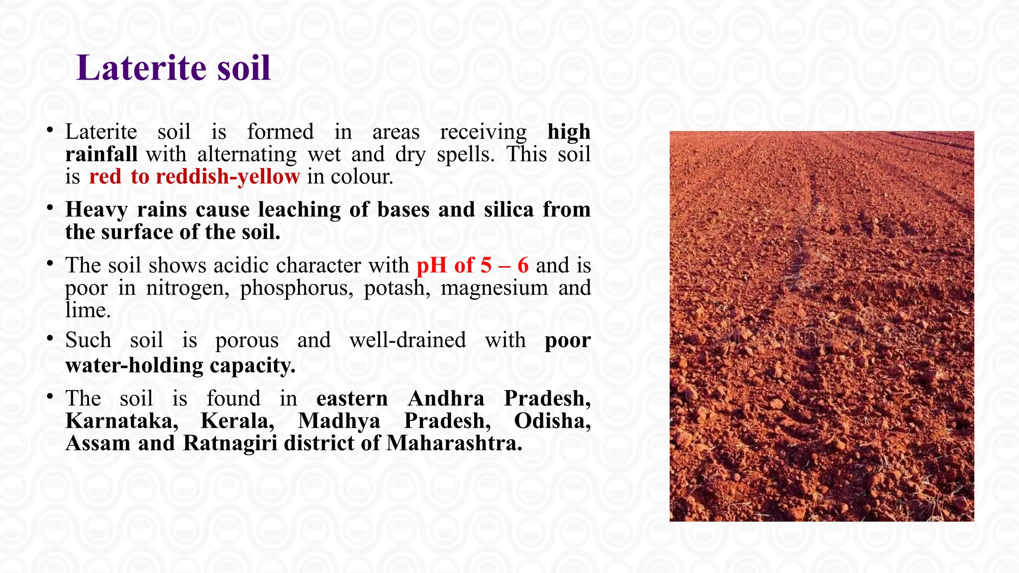 Soils of kerala and Soils of India in detail | PPTX