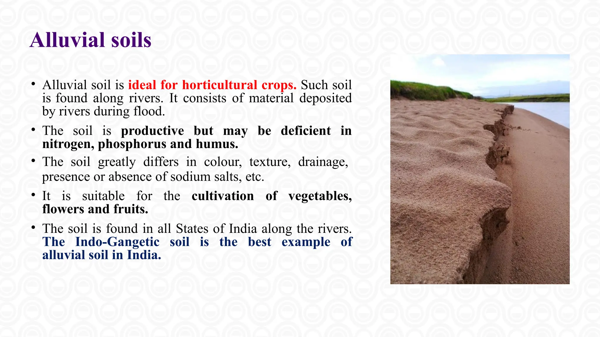 Soils of kerala and Soils of India in detail | PPTX