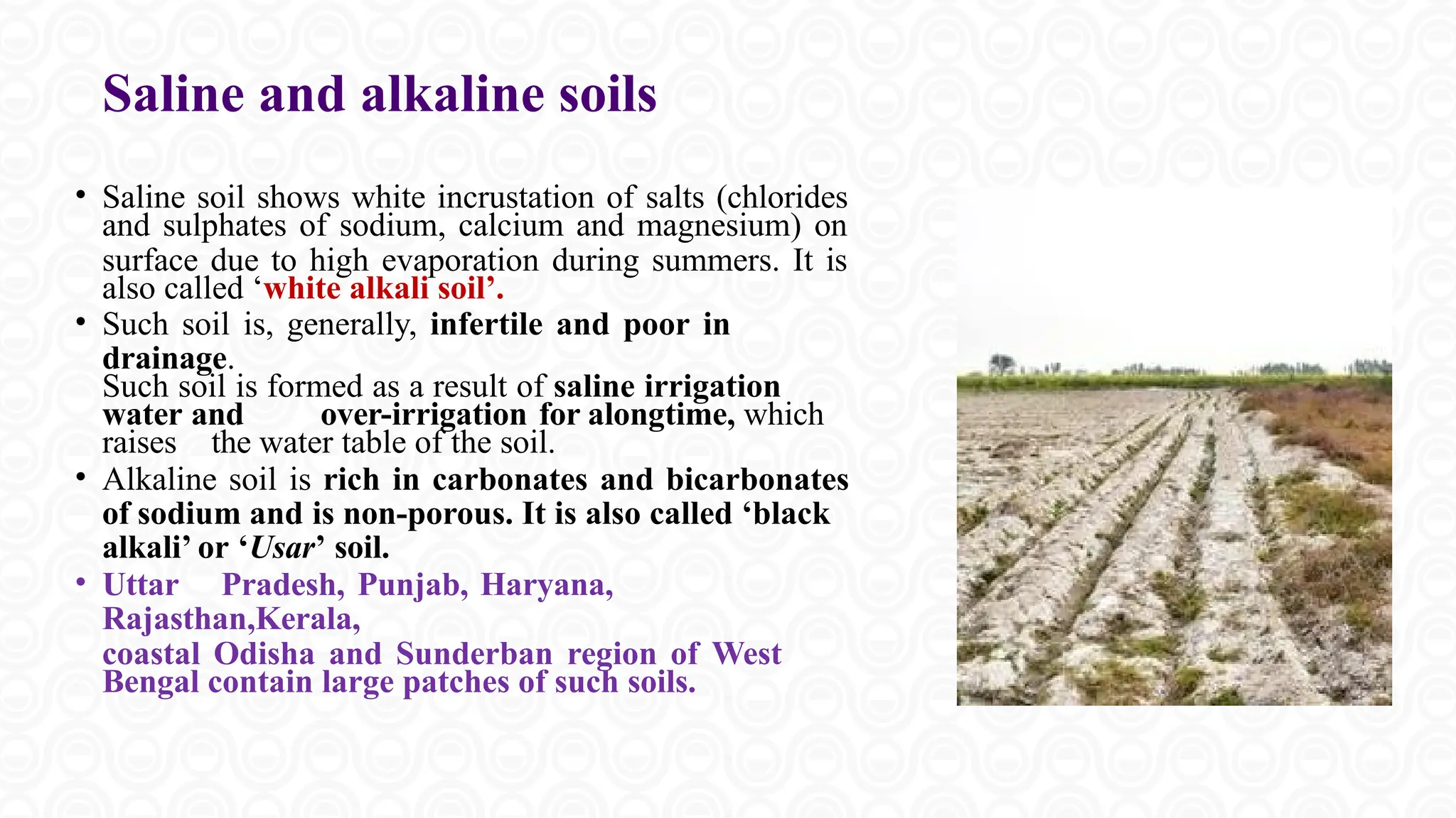 Soils of kerala and Soils of India in detail | PPTX
