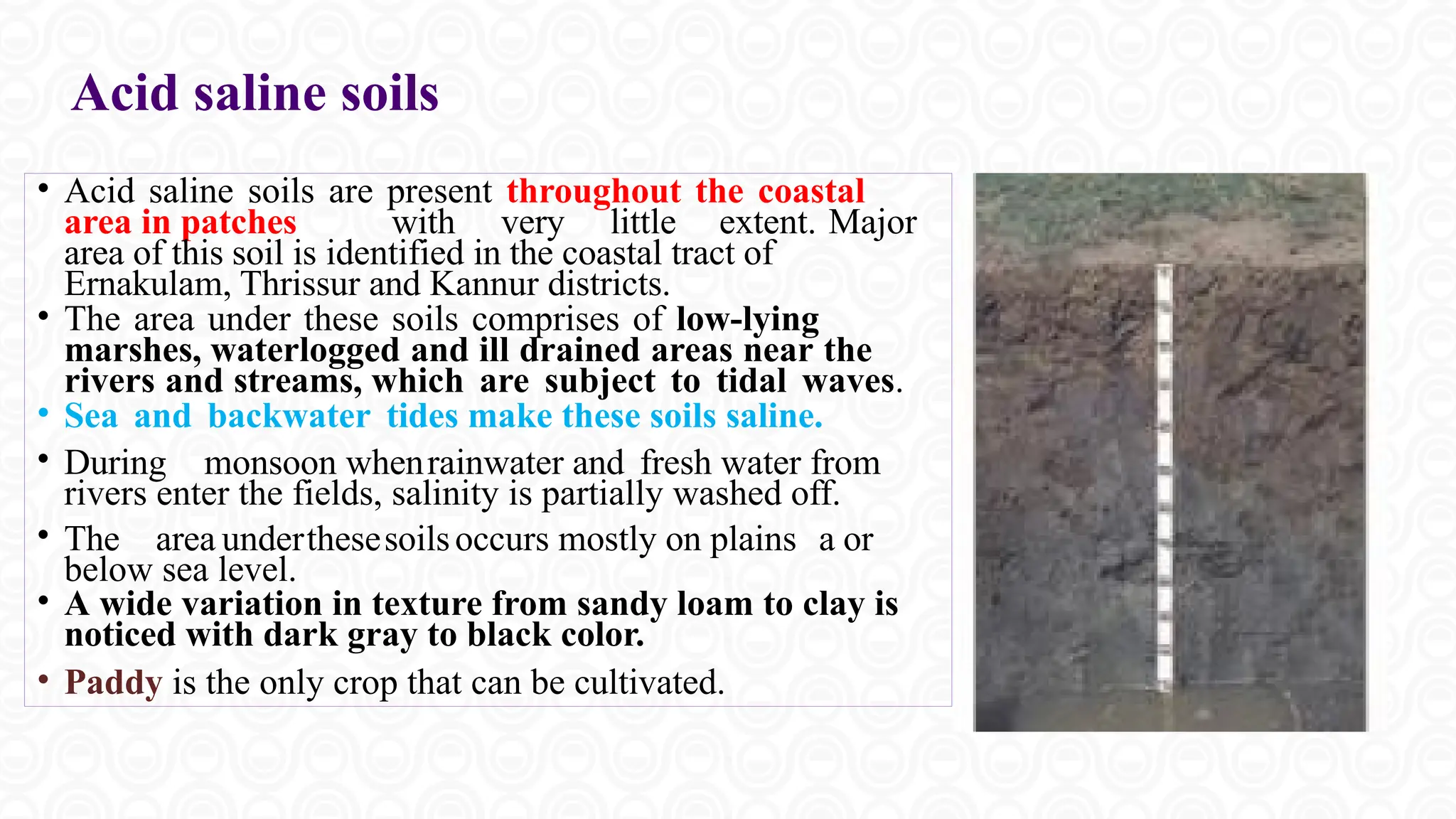Soils of kerala and Soils of India in detail | PPTX