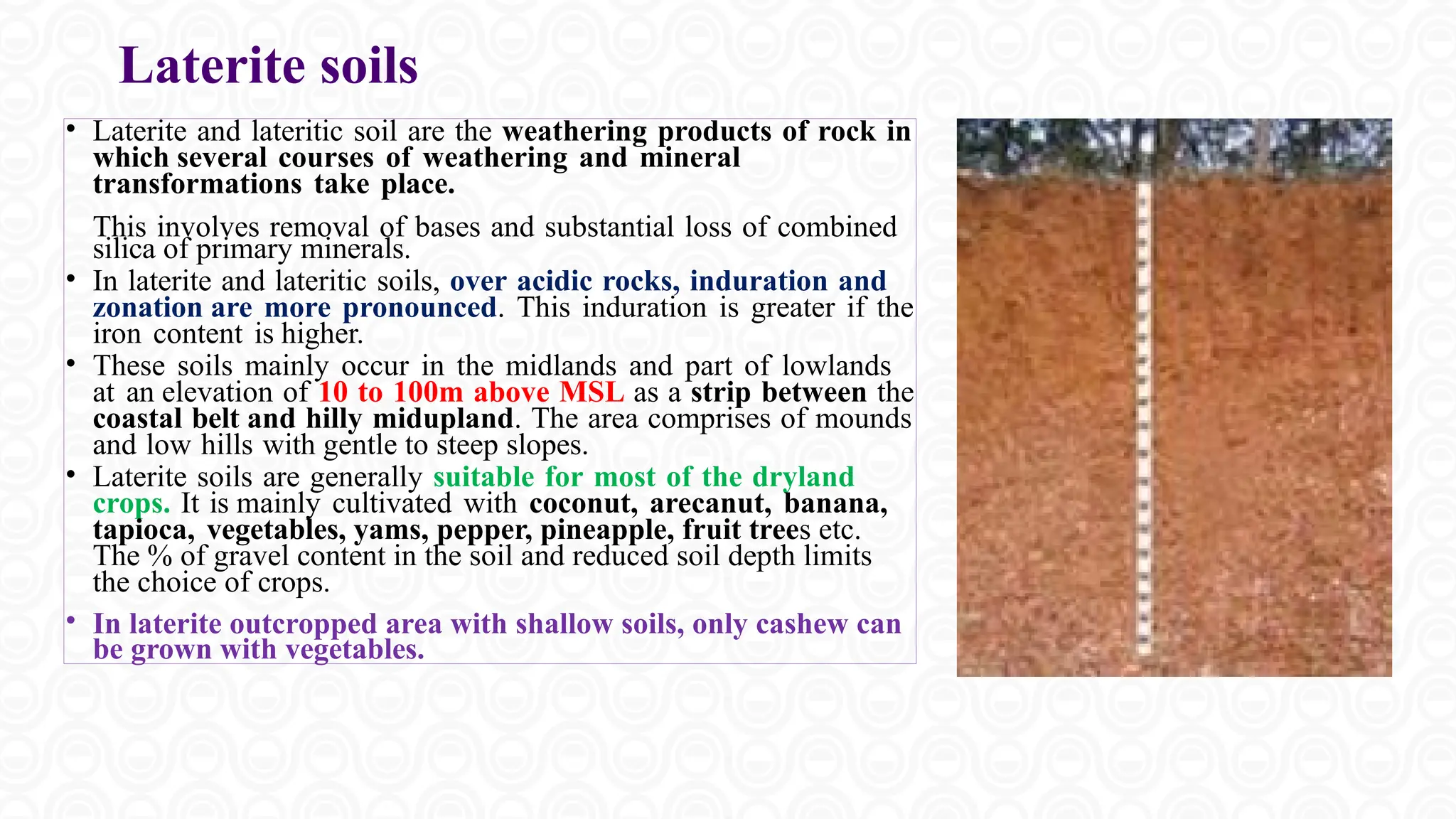 Soils of kerala and Soils of India in detail | PPTX