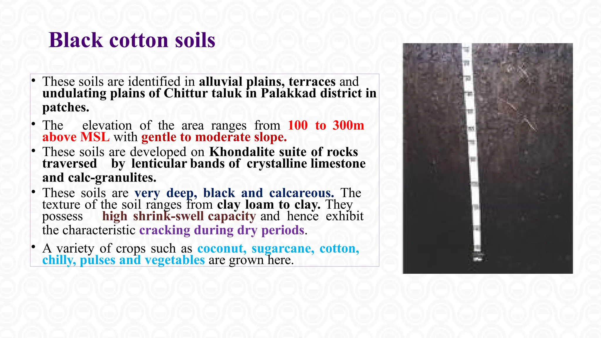 Soils of kerala and Soils of India in detail | PPTX