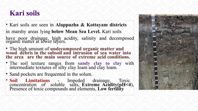 Soils of kerala and Soils of India in detail | PPTX