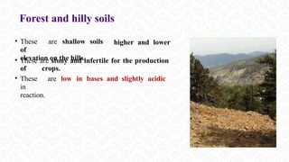 Soils of kerala and Soils of India in detail | PPTX
