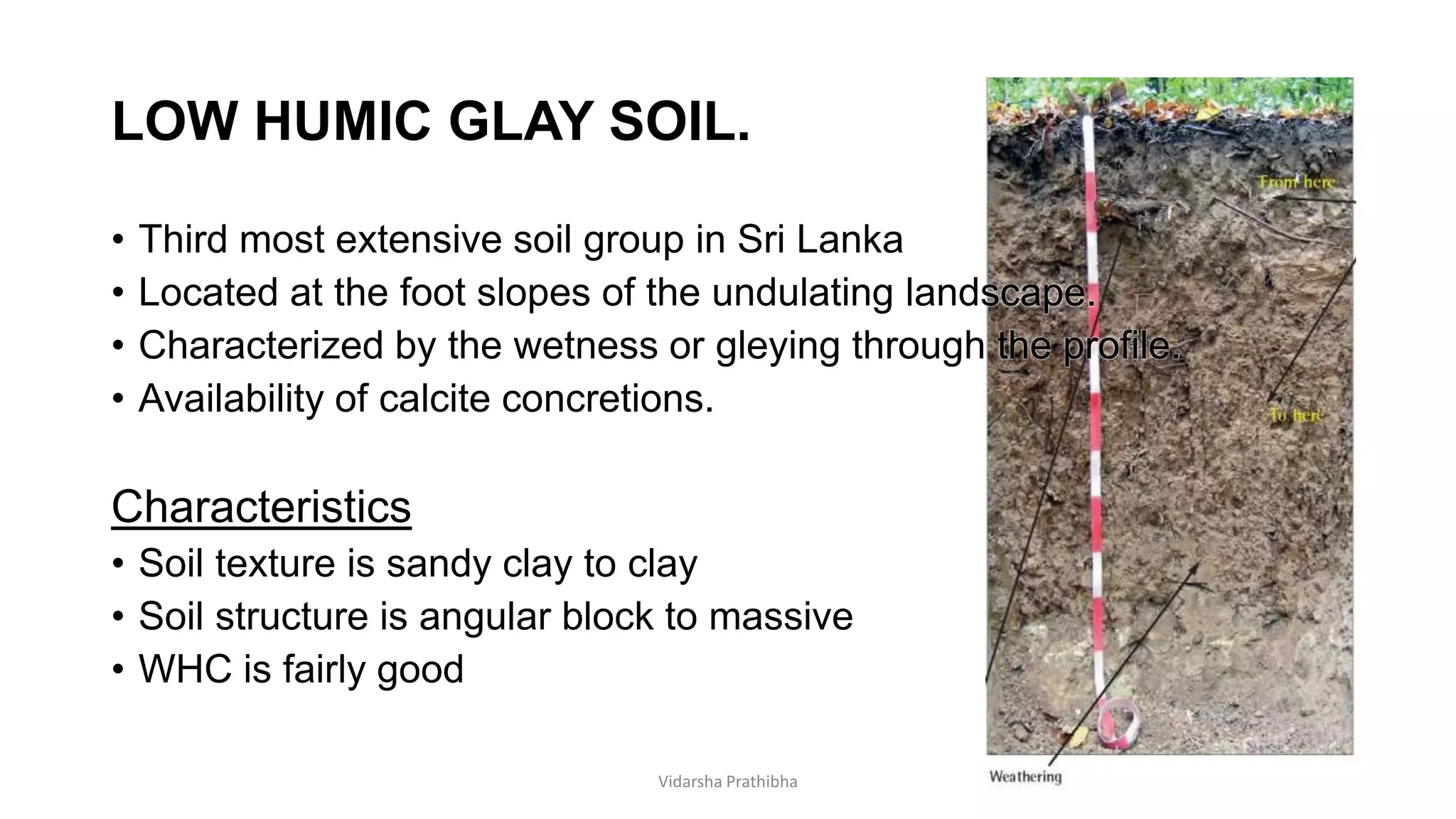 Soil types of Sri Lanka | PPTX